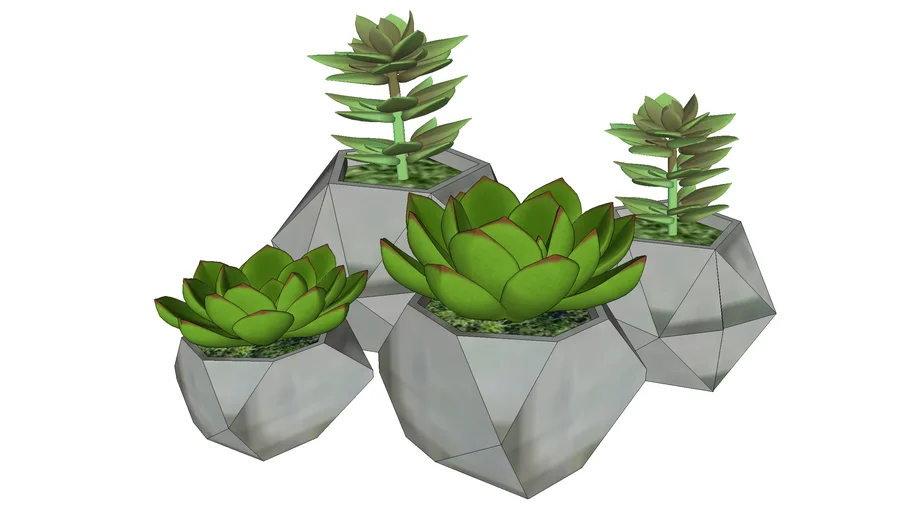 Plantas 01 | 3D Warehouse