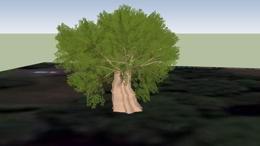 oak tree. | 3D Warehouse
