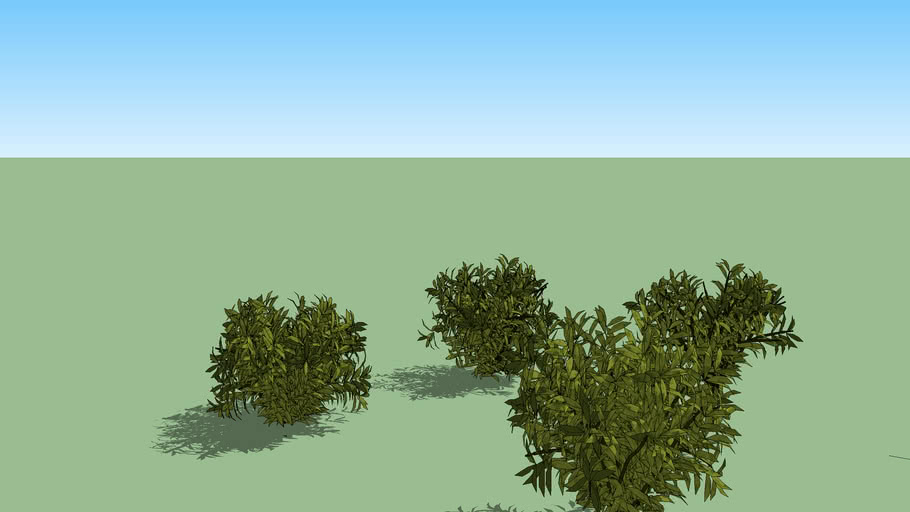 garten_00_SHRUBS | 3D Warehouse