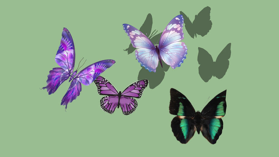 Butterflies | 3D Warehouse