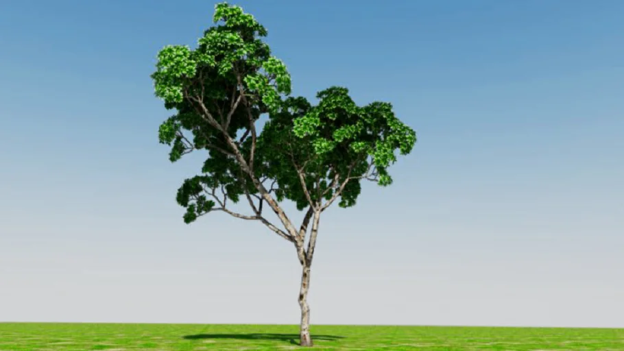 3D real tree | 3D Warehouse