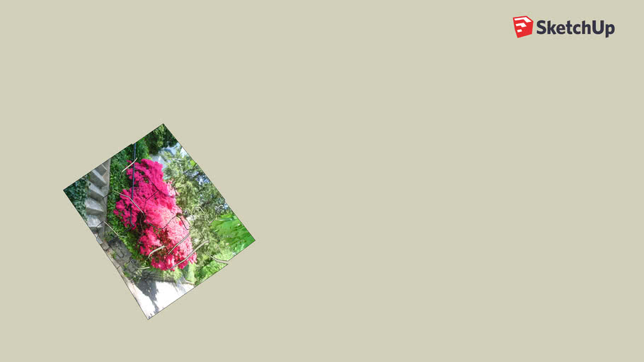 pink tree | 3D Warehouse