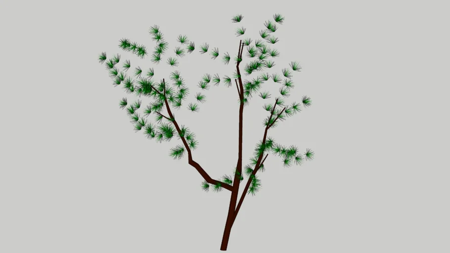 Pine Tree Gnarly | 3D Warehouse