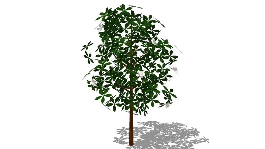 TREE | 3D Warehouse