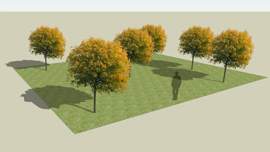 2D Tree Component Example | 3D Warehouse