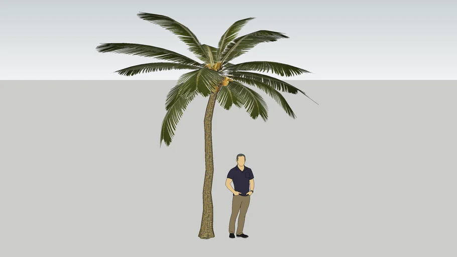 Palm tree | 3D Warehouse