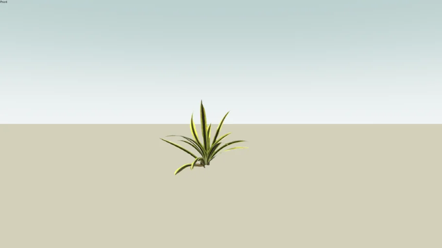 2d plant | 3D Warehouse