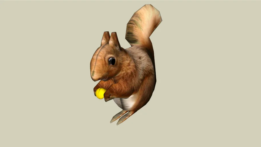 Squirrel | 3D Warehouse