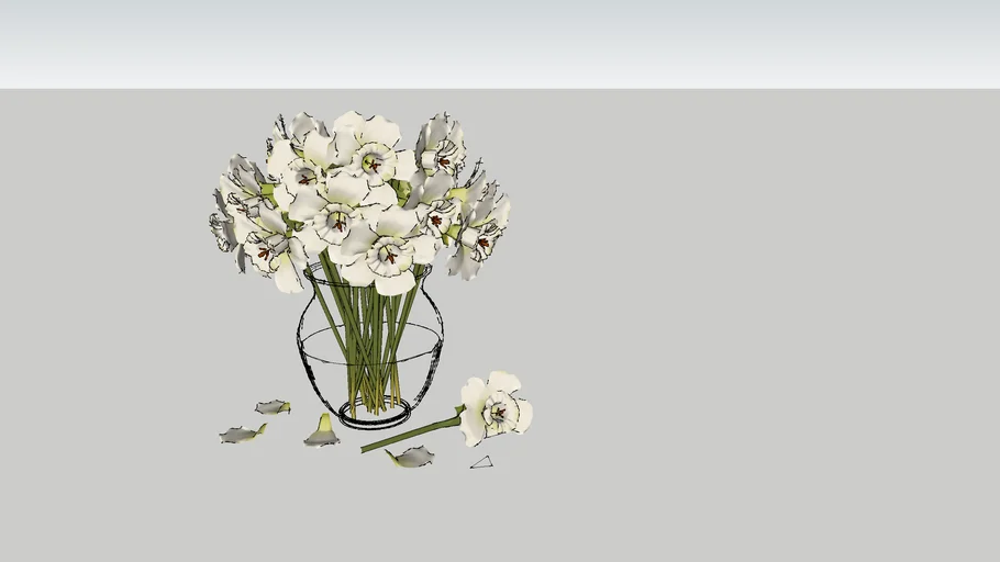 VASO 02 | 3D Warehouse