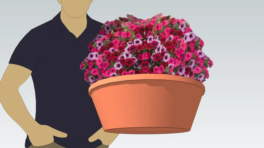 Pot of Flowers | 3D Warehouse