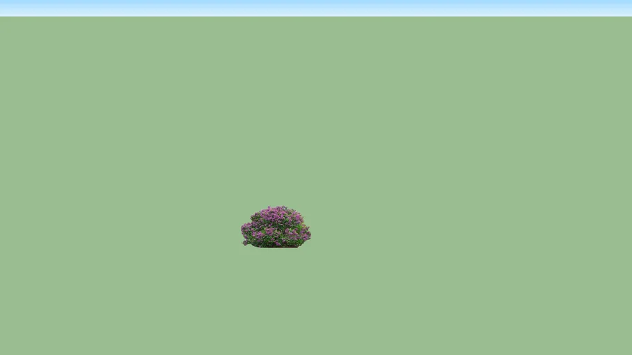 2d face me rose | 3D Warehouse