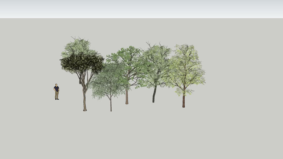trees | 3D Warehouse