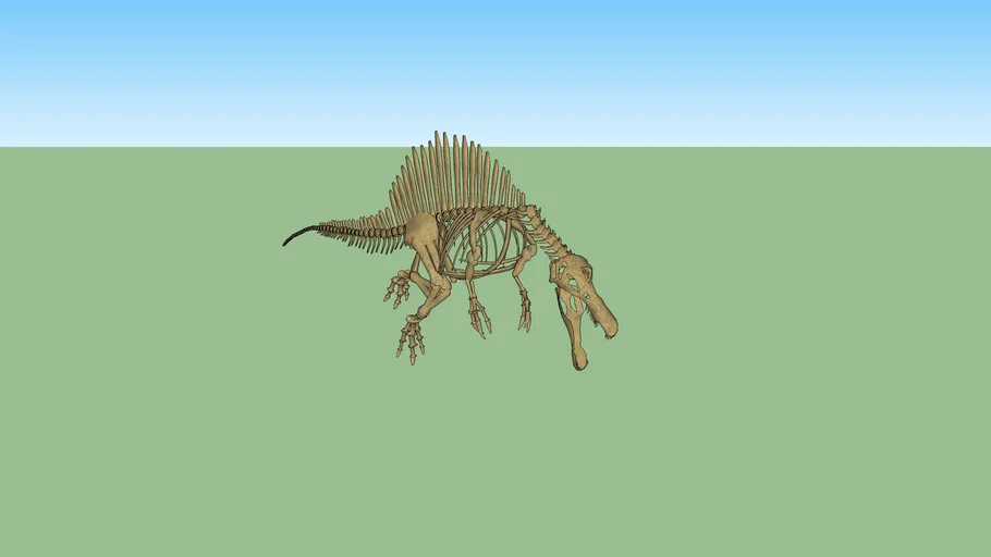 Spinosaurus Skeleton Reconstruction 2 | 3D Warehouse