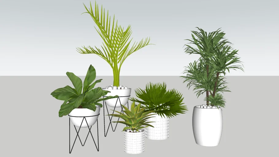 Sketchup Plants SketchUp 3D Plant Models Collection | GlobePlants
