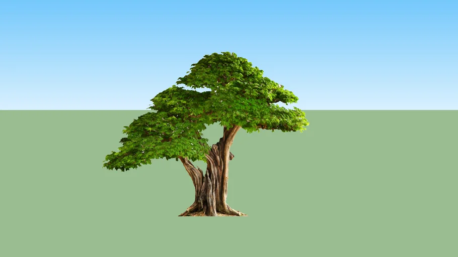 Bonsai 2 | 3D Warehouse