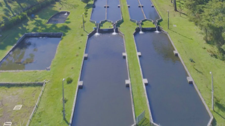 pesqueiro | 3D Warehouse