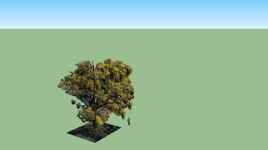 Gumtree | 3D Warehouse