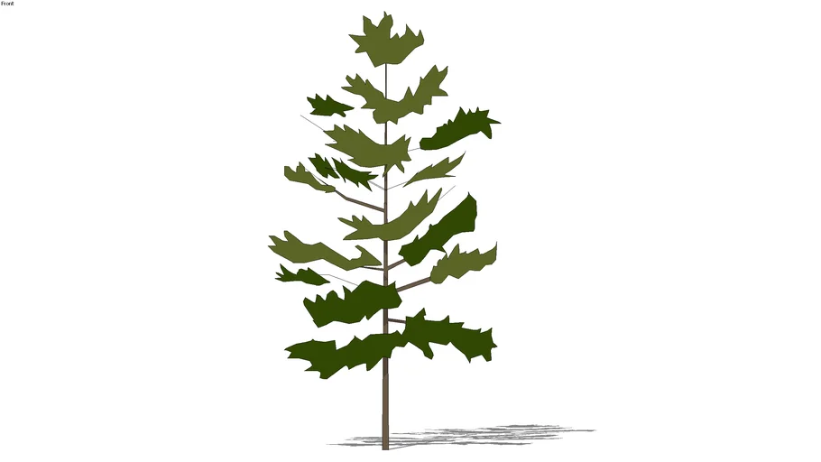 Tree_2D_Schematic_Sparse_30' | 3D Warehouse