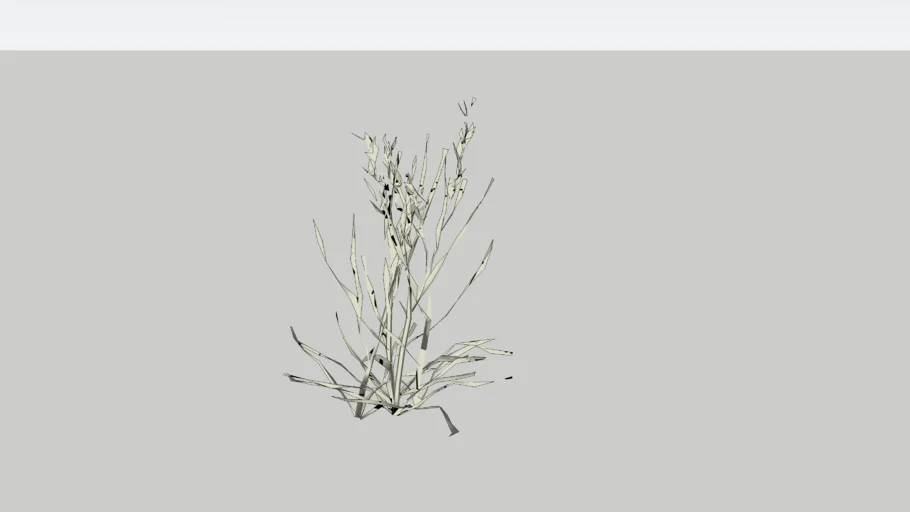grass | 3D Warehouse