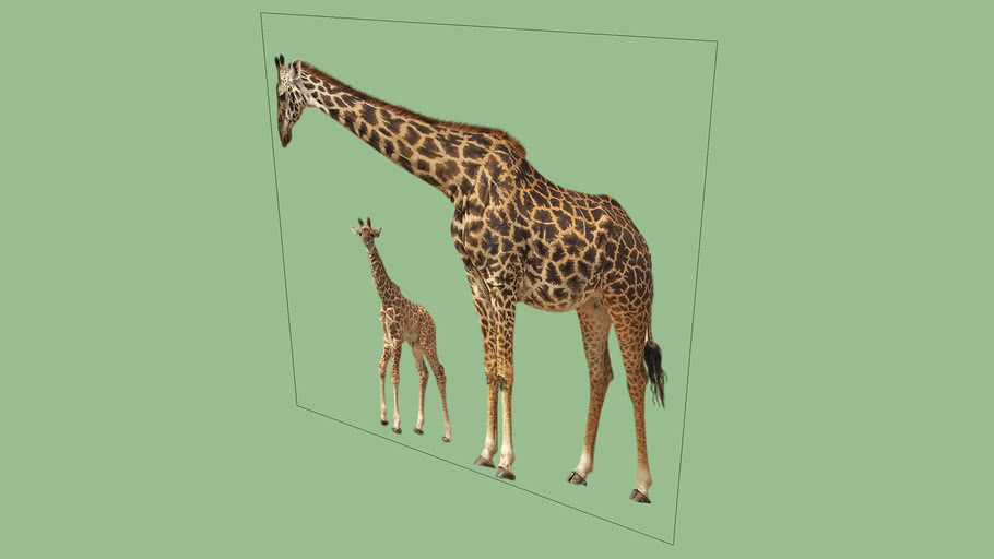 2d_giraffe | 3D Warehouse