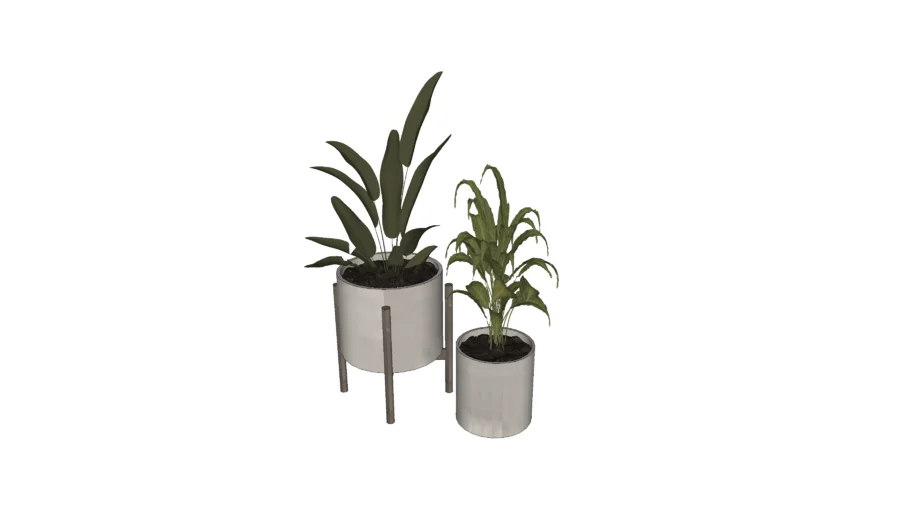 Plant | 3D Warehouse