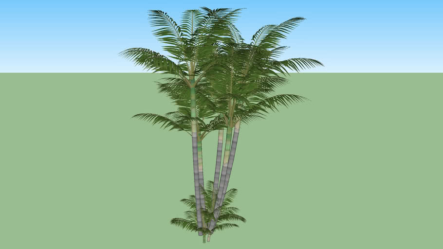 plants, big tree, outdoor plant | 3D Warehouse