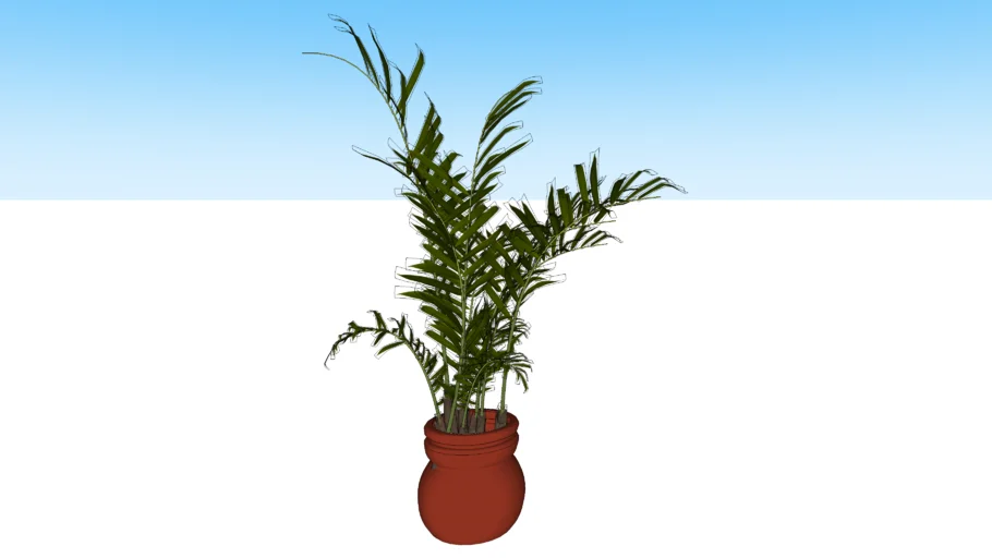 Palmera | 3D Warehouse