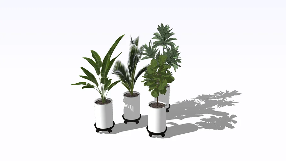 Planta 04 | 3D Warehouse