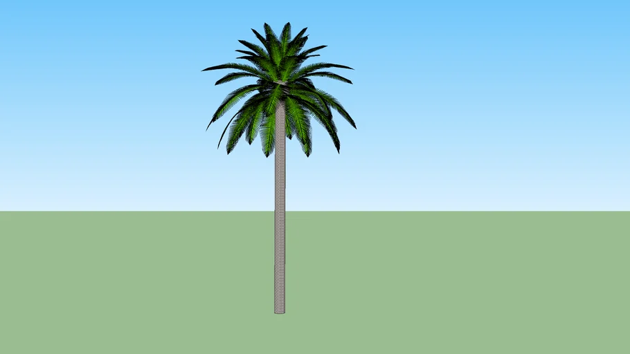 palm tree | 3D Warehouse