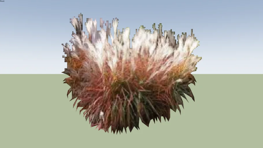 flame grass 2d | 3D Warehouse