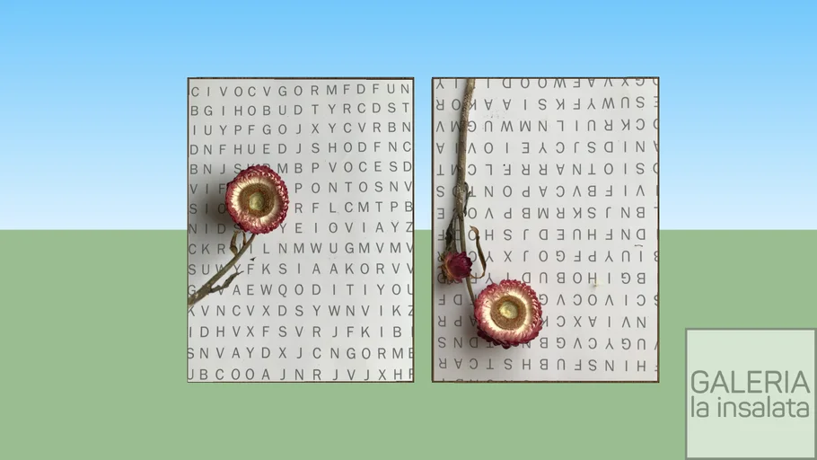 FIORI E PAROLE | 3D Warehouse