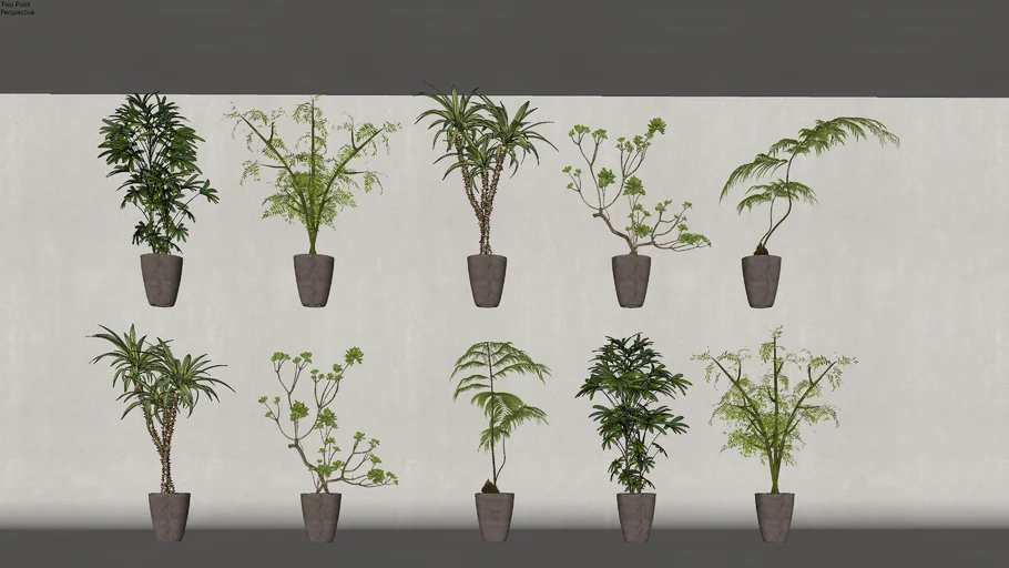 Interior Plant 8 | 3D Warehouse