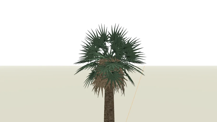 Palmeira Tropical Leque | 3D Warehouse