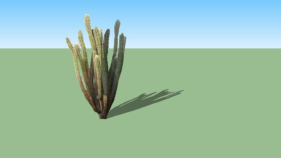 cactus rml 01 2d | 3D Warehouse