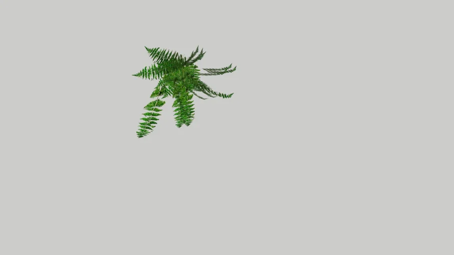 Foliage bundle - Fern | 3D Warehouse