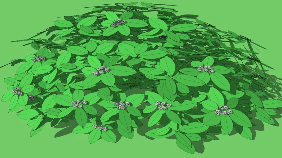 Shrub | 3D Warehouse