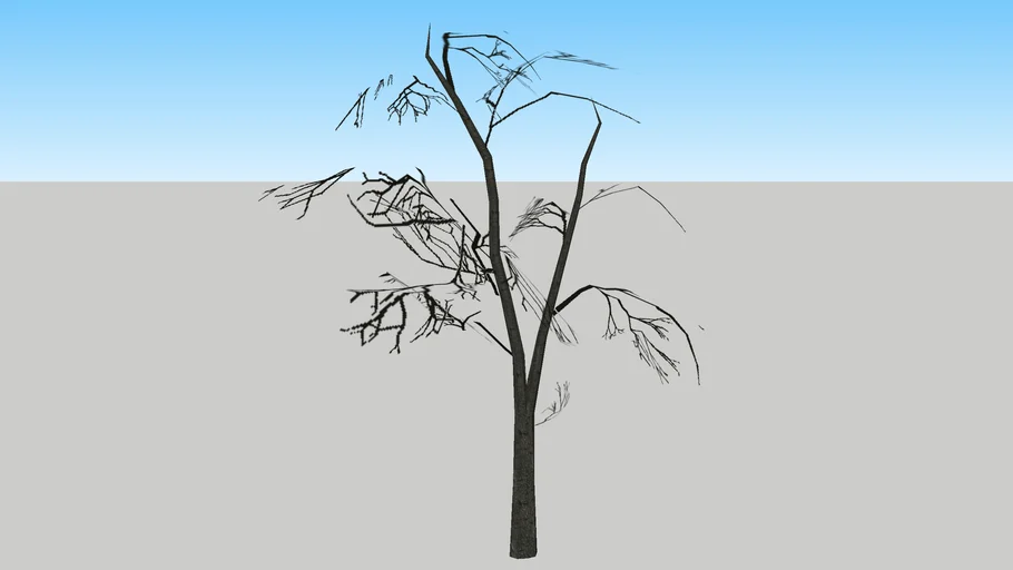 Tree | 3D Warehouse