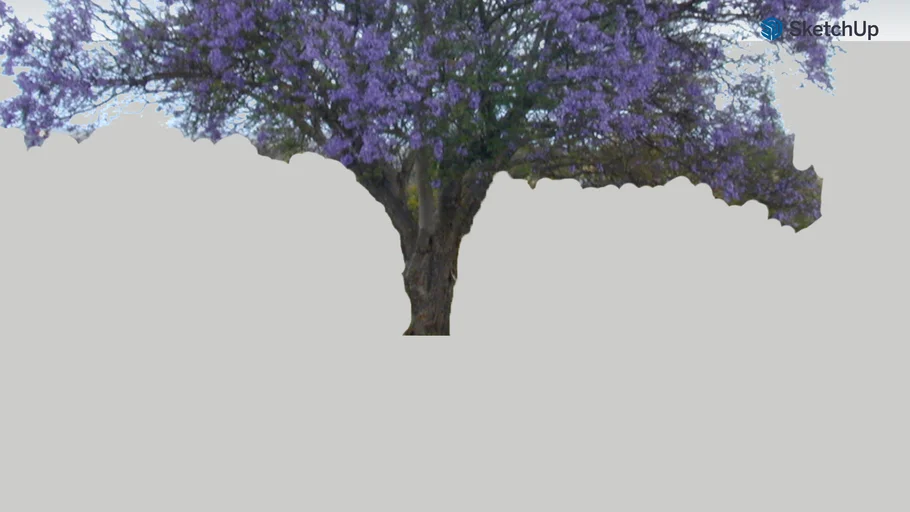 FLOWERING AND FRUITING TREE | 3D Warehouse