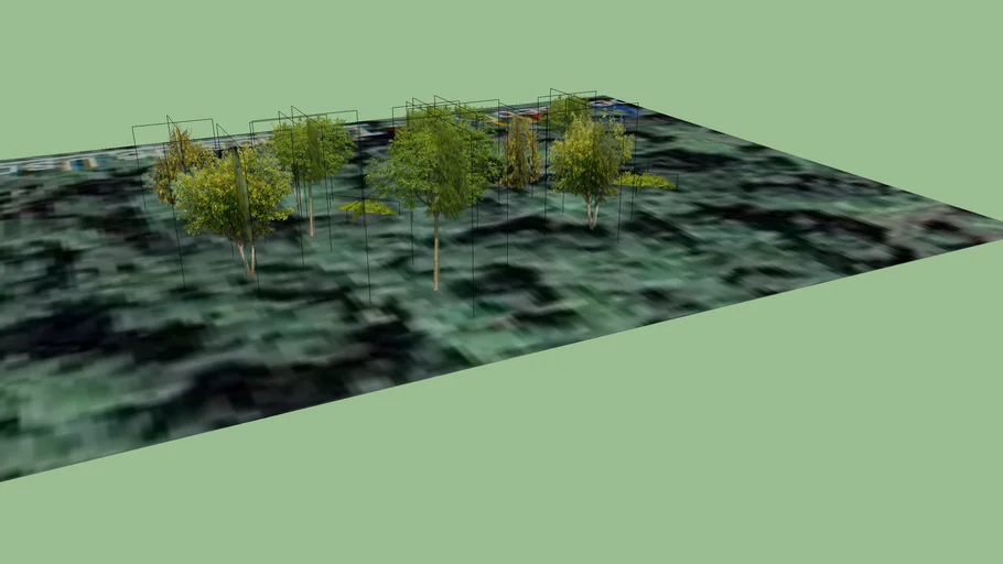 Rain Forest | 3D Warehouse