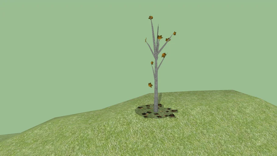 Tree | 3D Warehouse