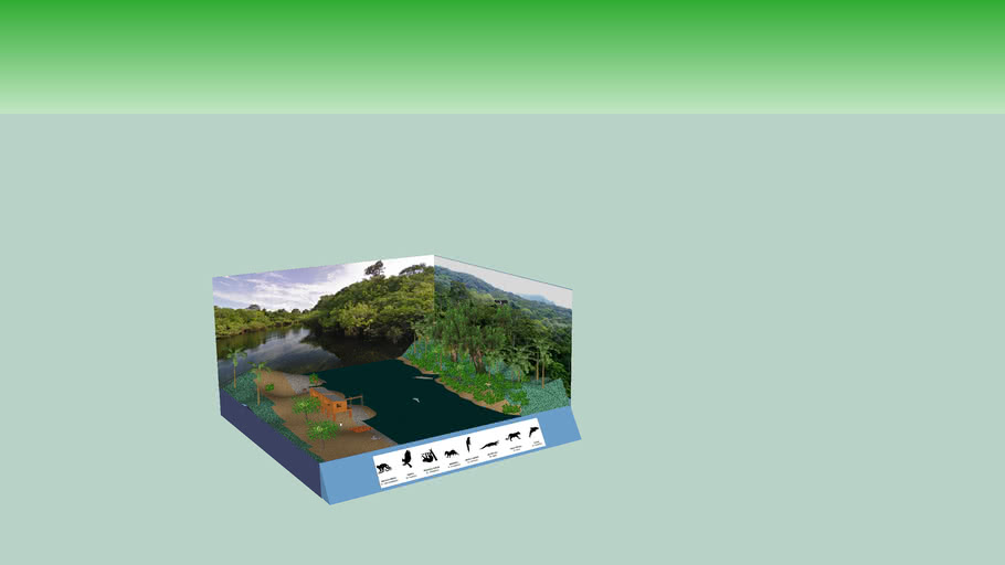 Diorama (Amazon Rainforest) | 3D Warehouse