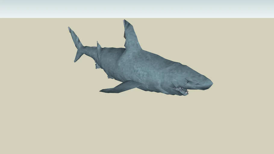 Shark | 3D Warehouse