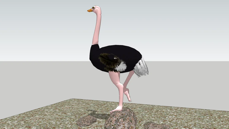 Ostrich | 3D Warehouse