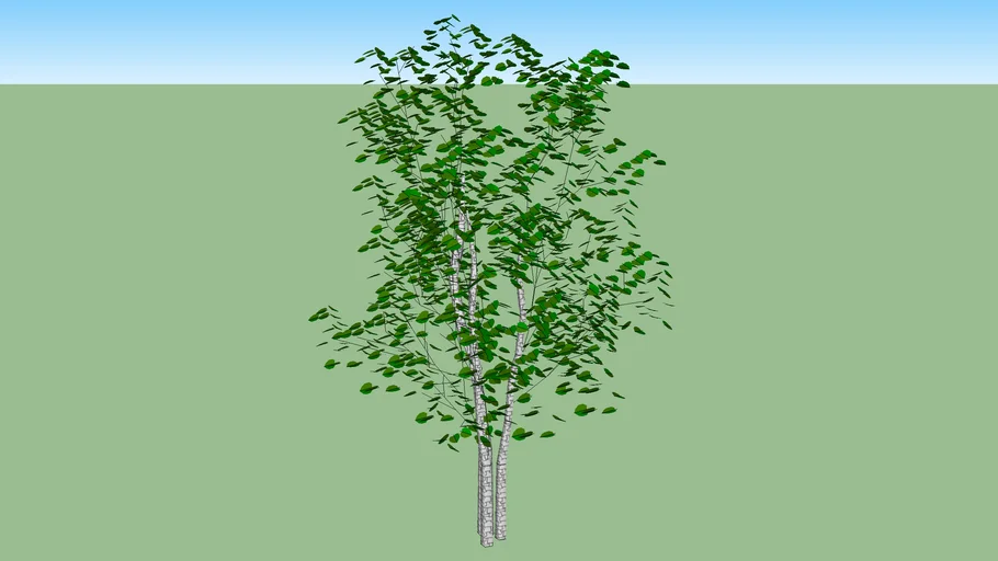 tree | 3D Warehouse
