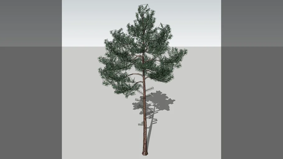 Baum 190117 04.skp | 3D Warehouse