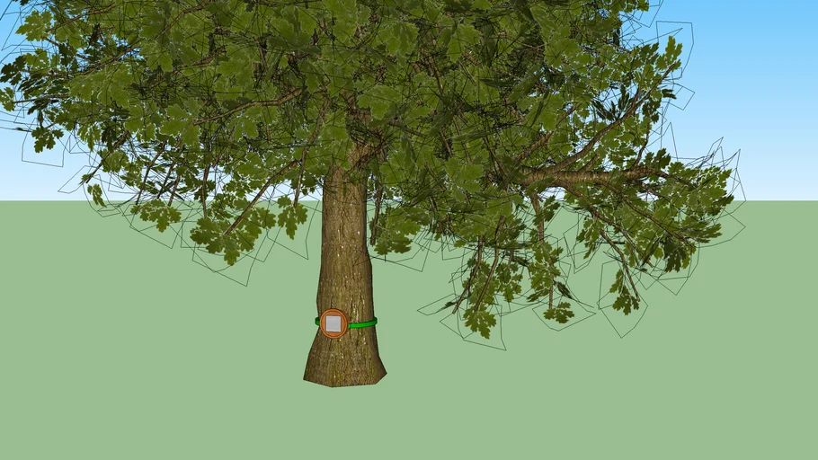 tree | 3D Warehouse