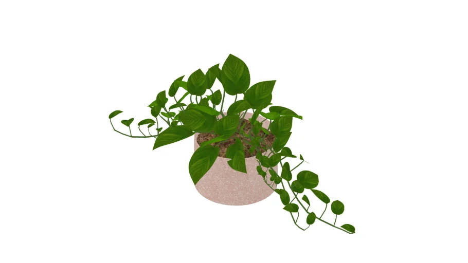 jibóia | 3D Warehouse