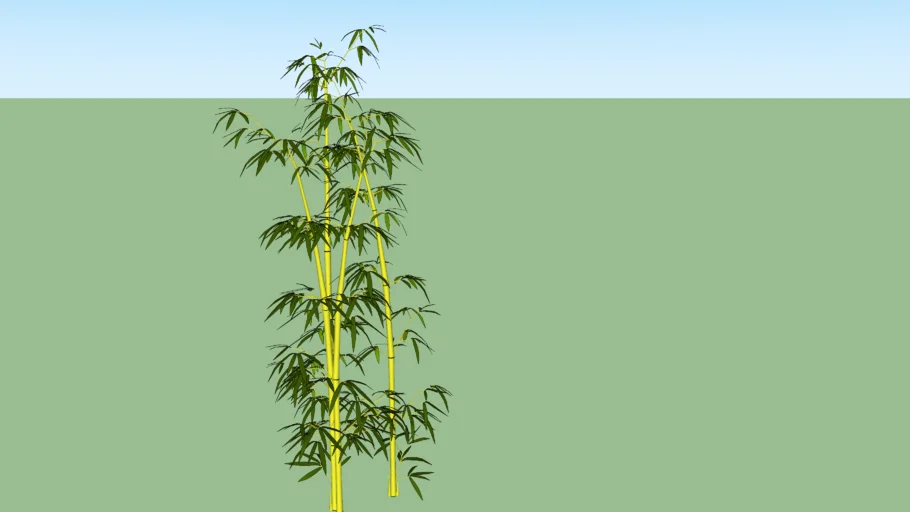 bamboo | 3D Warehouse