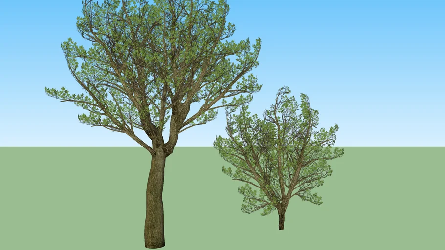 Tree set 8 | 3D Warehouse