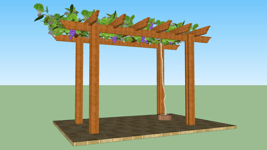 Grapevine | 3D Warehouse